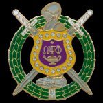 Omega Shield Pin – Believe Accessories Inc.